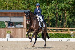 Imhotep verder onder Diana Porsche - News - Hippomundo