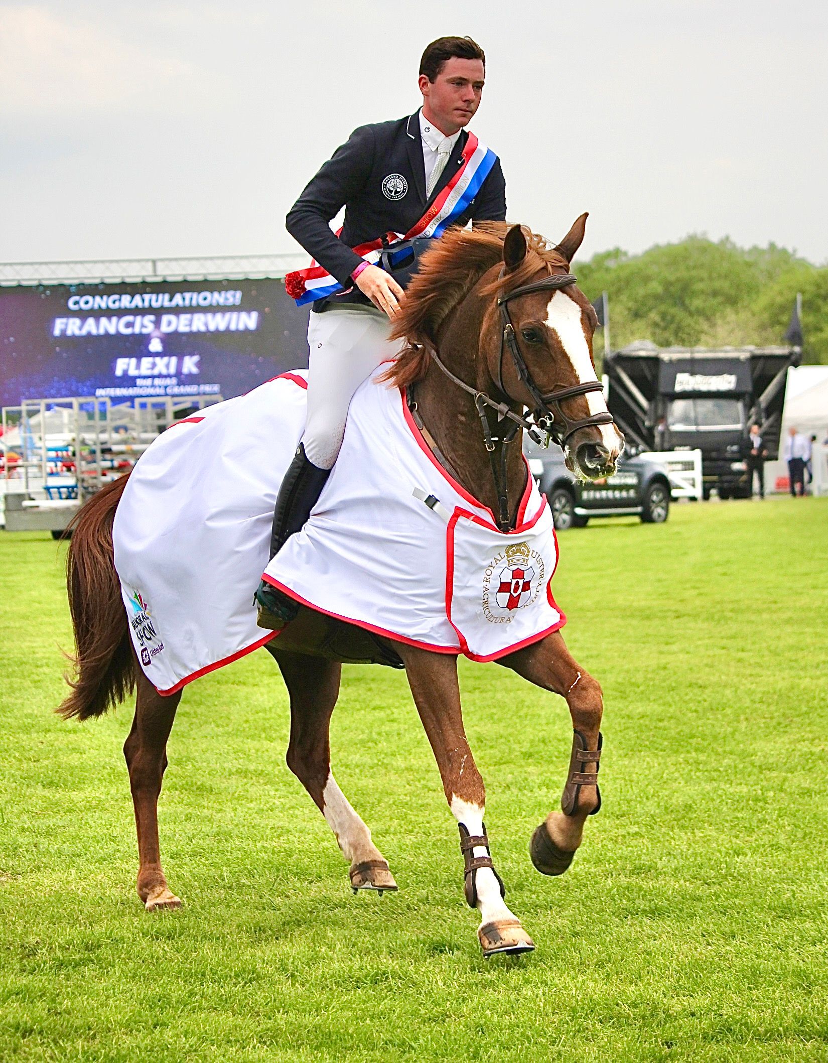 Back-to-back gold for Ireland - News - Hippomundo