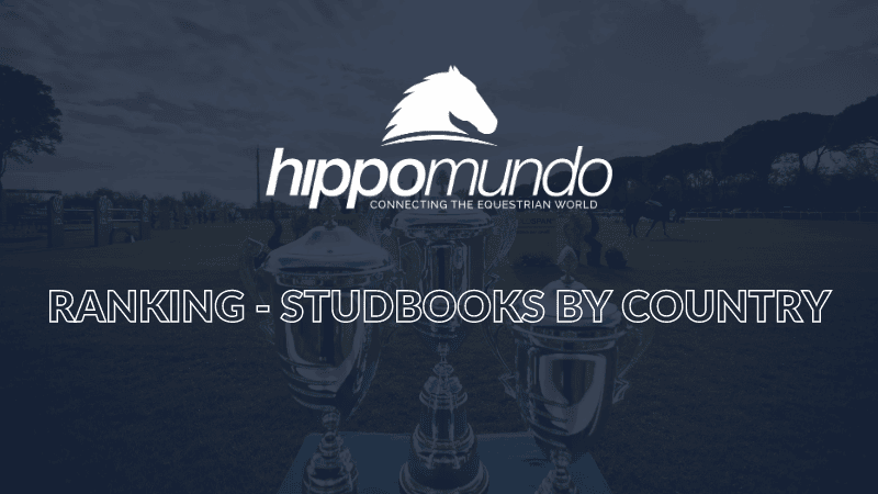 The best studbooks in all disciplines - News - Hippomundo