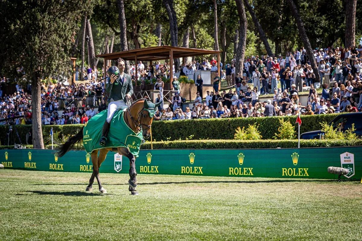 Miss Blue-Saint Blue Farm shines again - News - Hippomundo