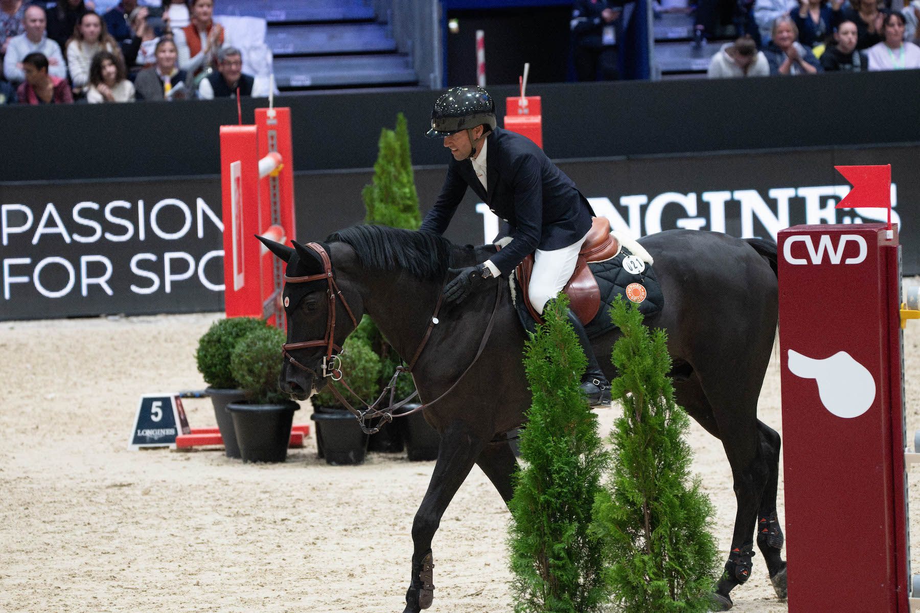 Belgian Breeders Bonus: the biggest riser! - News - Hippomundo