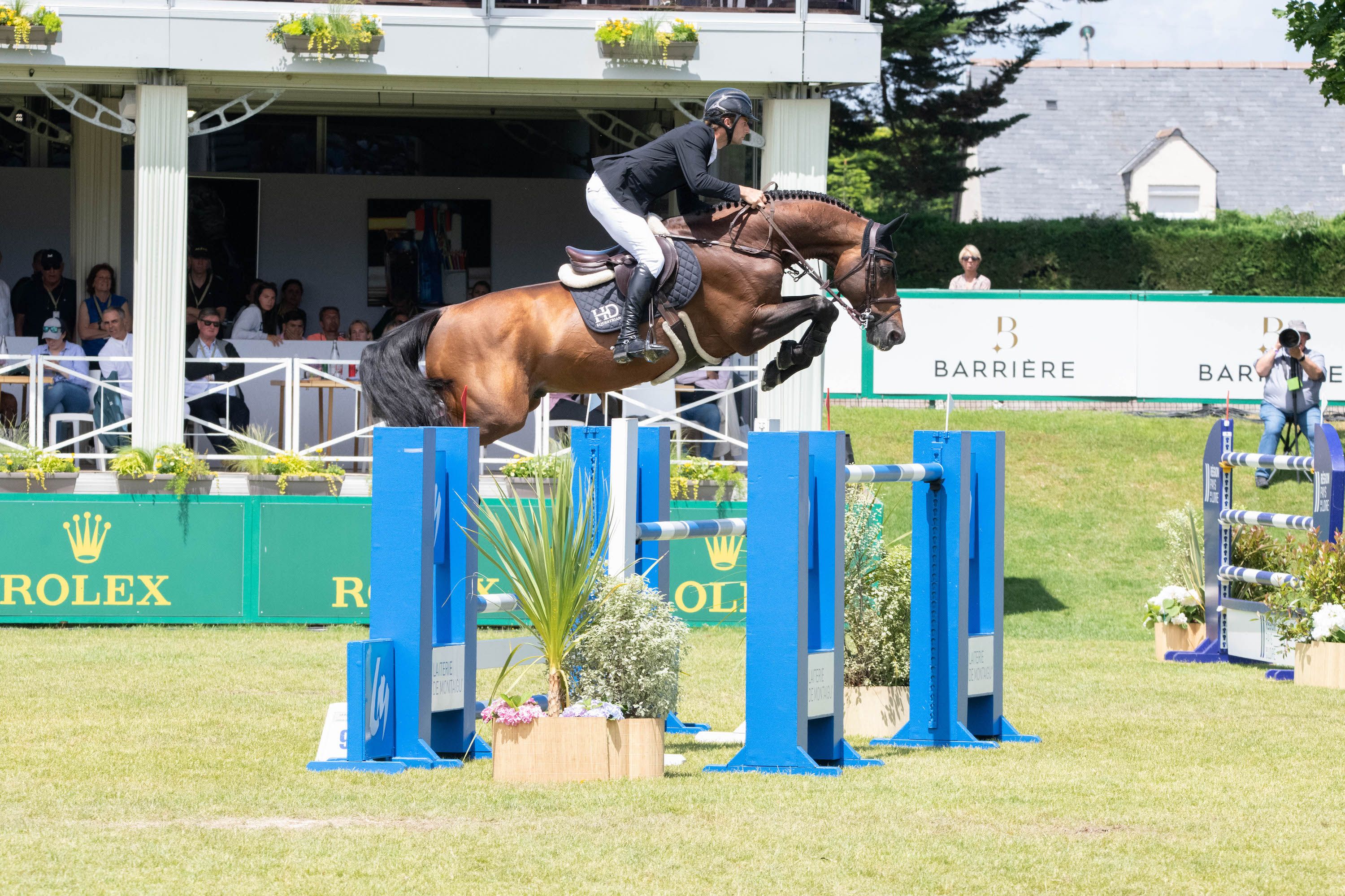 United Touch S, the winning inbreeding! - News - Hippomundo