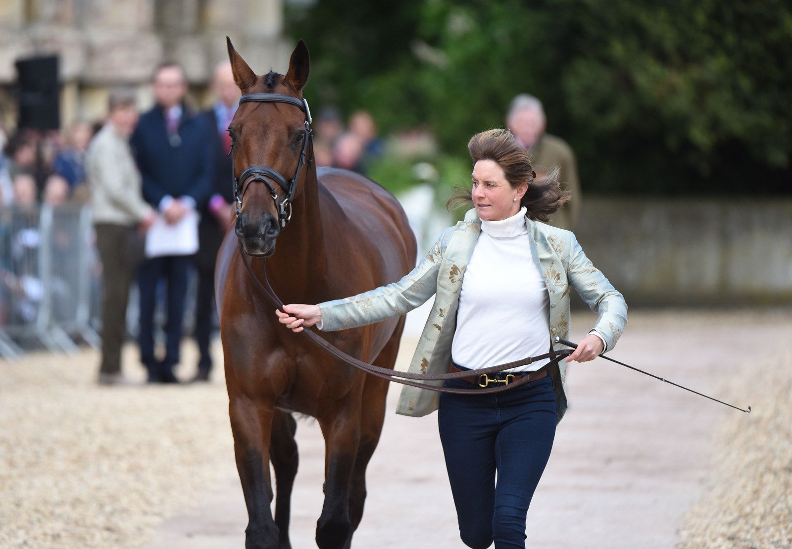 Les 10 meilleurs chevaux de concours complet en 2022 - Nouvelles ...