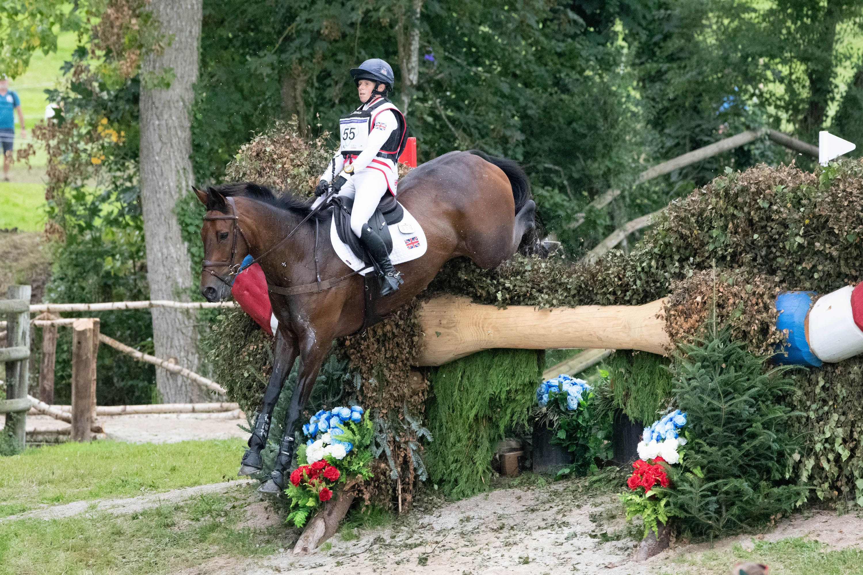 Rock King, best sire of eventing dams in 2023 - News - Hippomundo