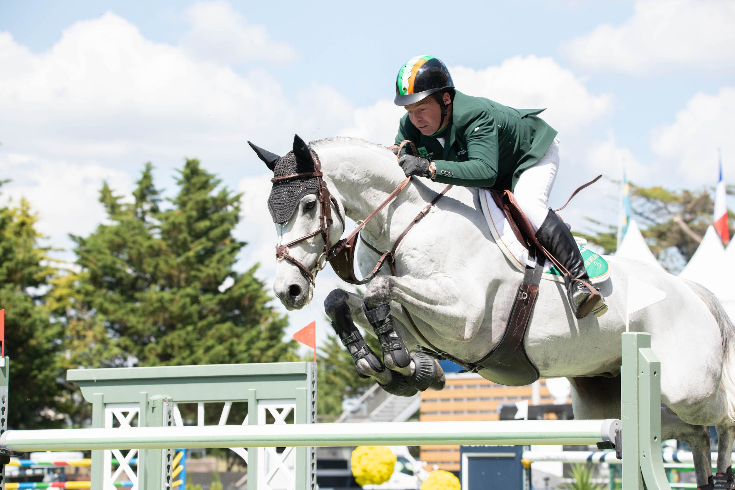 Irish breeders enter Top 5 of Breeder ranking - News - Hippomundo