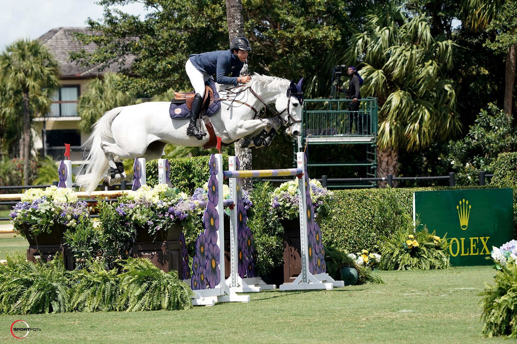 On average, Luidam-offspring win the most prize money - News - Hippomundo