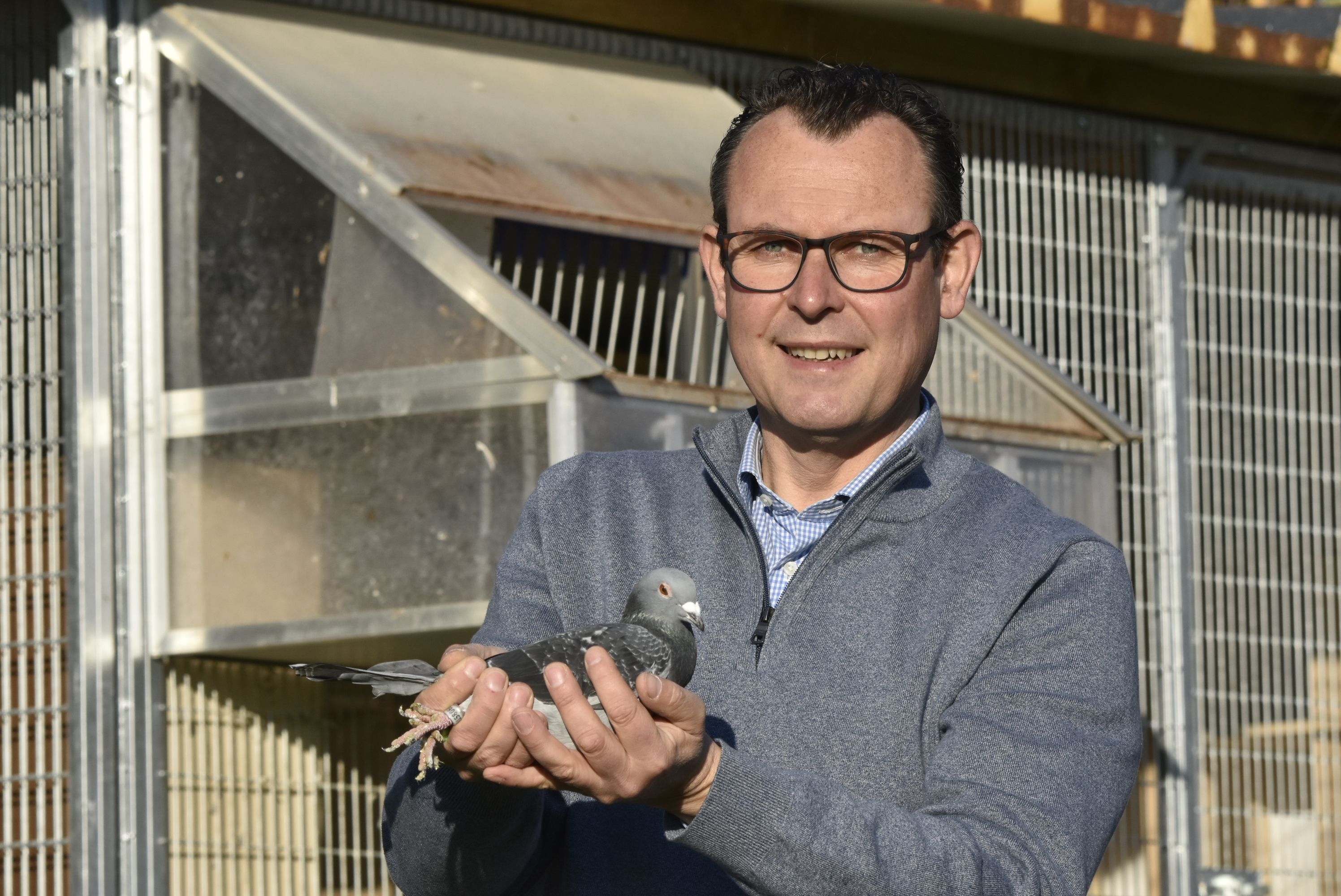 Luc Henry retires from breeding - News - Hippomundo