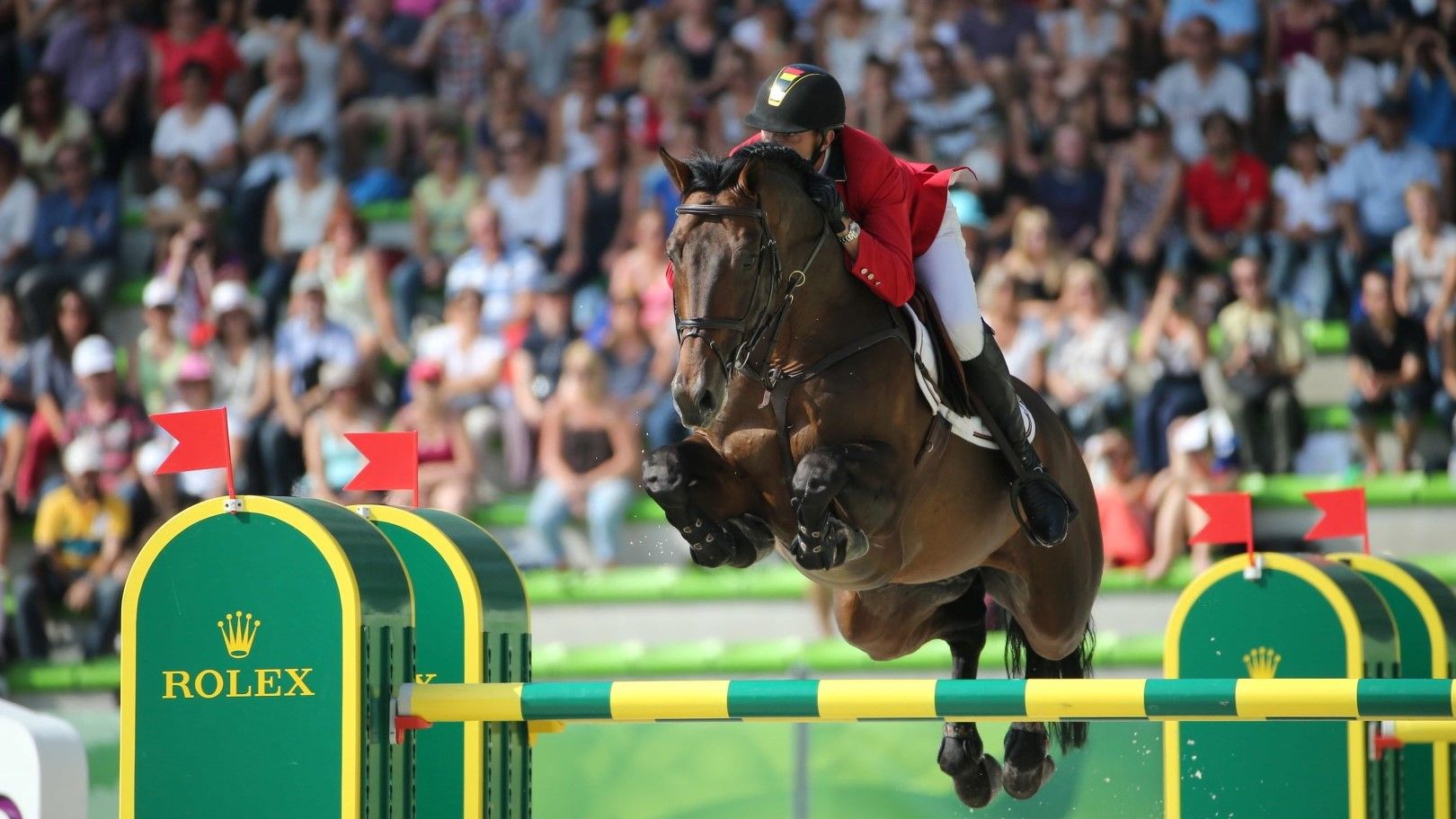 HH Conrad to Stud farm Zangersheide! - News - Hippomundo