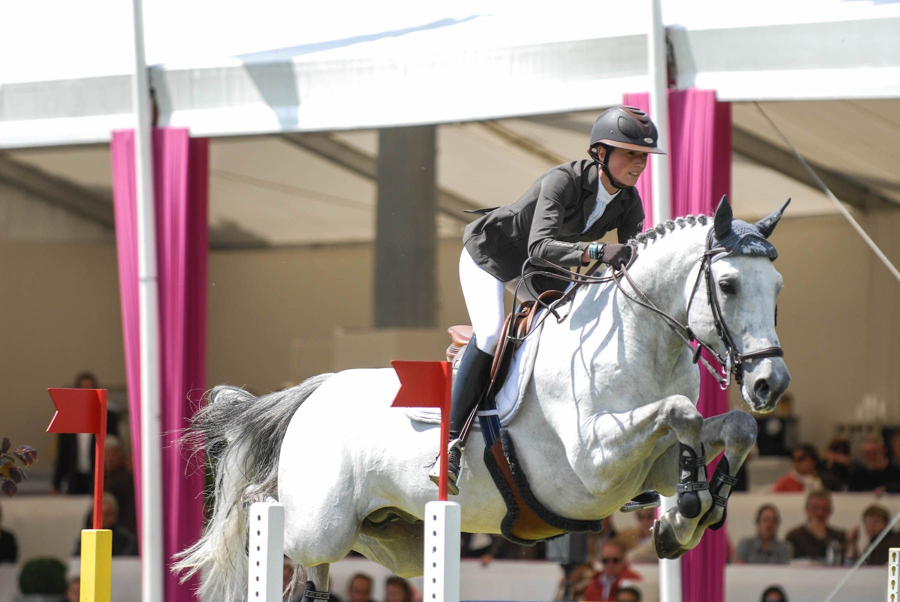 Carthago Z leads Hippomundo Power Value © ranking - News - Hippomundo