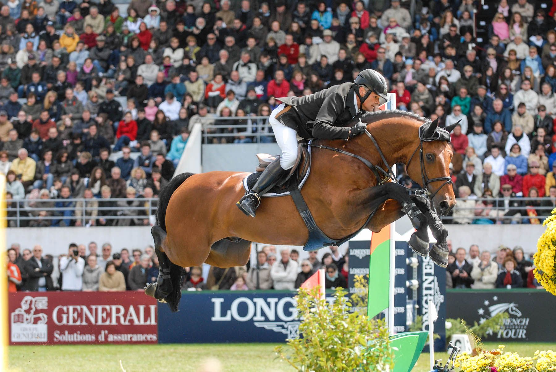 The most represented stallions in 1m60 classes in 2022 - News - Hippomundo