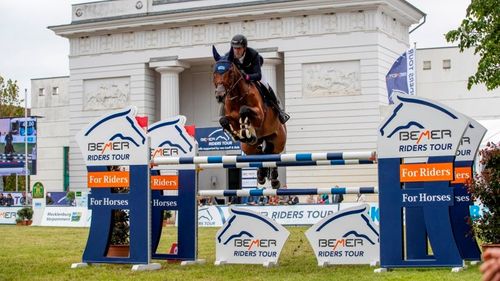 David Will triumphiert: Erfolge deutscher Reiter*innen - Nachrichten ...