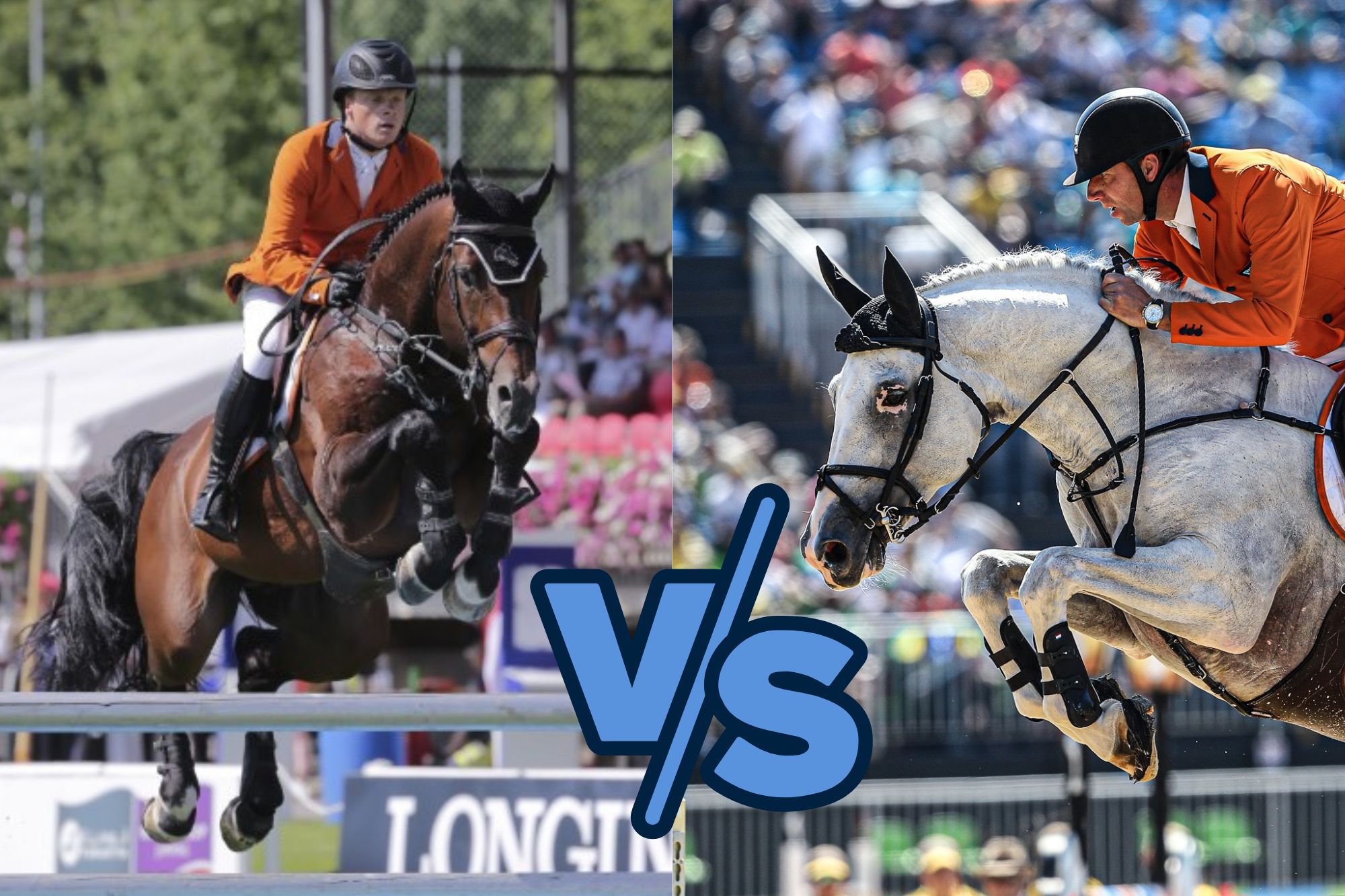 Comparing sires: Eldorado van de Zeshoek & VDL Zirocco Blue - News ...
