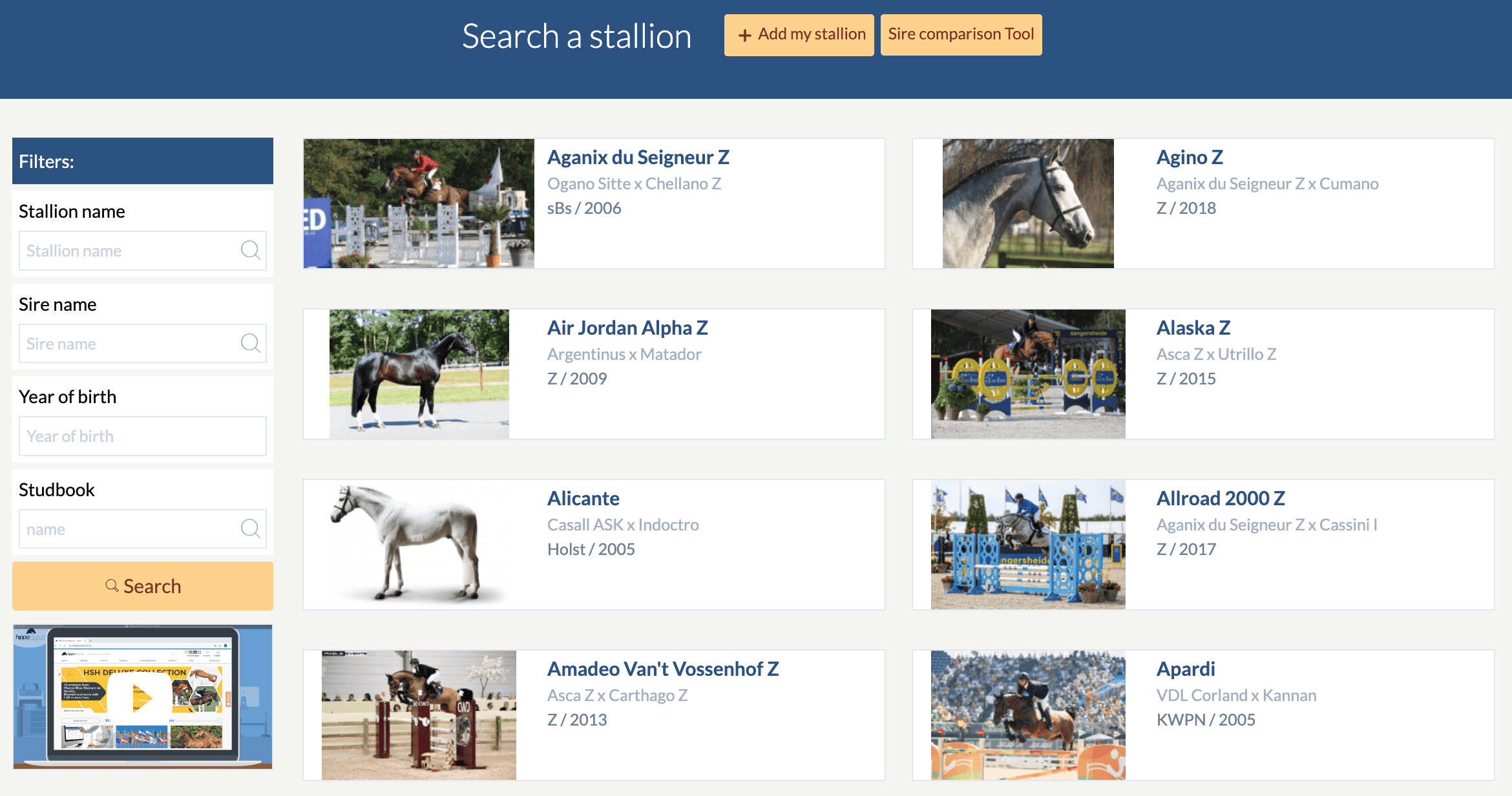 Add your stallion page to the Hippomundo stallion index - News - Hippomundo