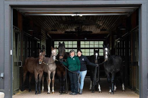 Taylor Flury: " Auch in den USA werden gute Pferde gezüchte ...