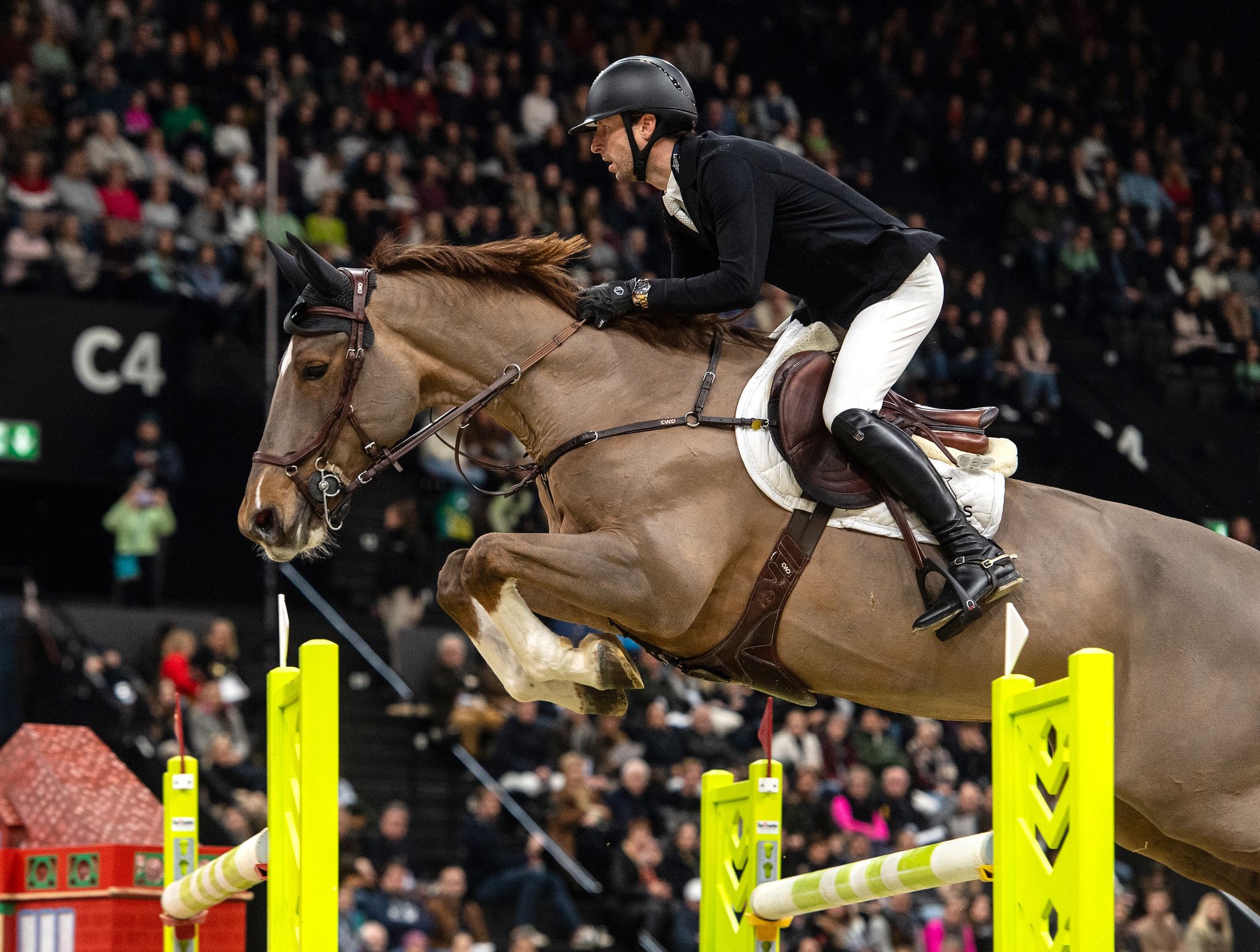 Sires of Topsport mares - News - Hippomundo